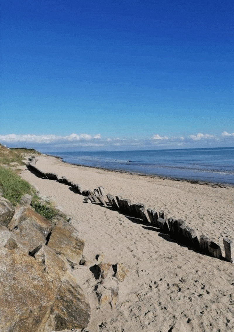 Discover the captivating history of the Cotentin region from the 3-star ...